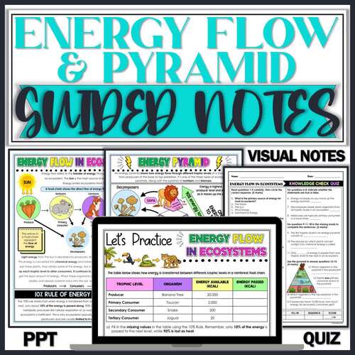Energy Flow in Ecosystems & Energy Pyramid Doodle Guided Notes ...