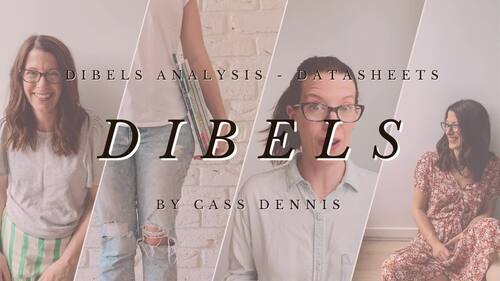 Data Tracking Spreadsheets for DIBELS 8th | K-6 Bundle | Google Sheets ...