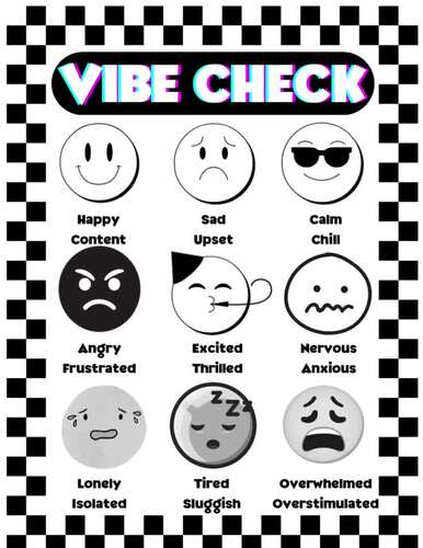 Vibe Check Feelings Poster by Middle School Moodroom | TPT