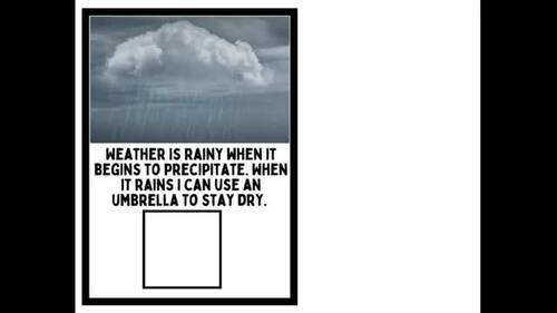 Special Education Science Types of Weather Activities: Adapted Book and ...