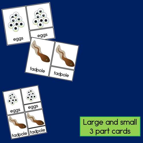 Frog Life Cycle Science Observation Journal Cut & Paste Worksheets 3 ...