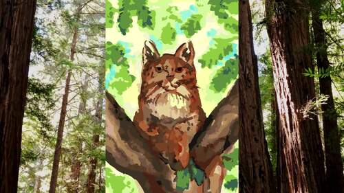 Lynx In The Tree Color-by-Numbers Fun Wildlife & Nature Activity