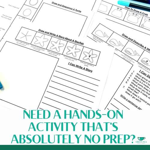 Following Directions with Embedded Concepts BUNDLE - 5 Step Sequencing ...