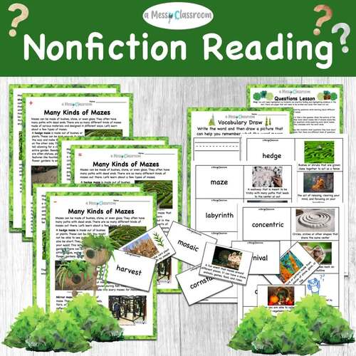 2nd Grade Mazes Nonfiction Reading Lesson RI.2.1 Ask and Answer Questions
