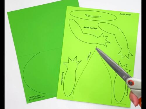 Axolotl Craft | NonFiction Book and Animal Research Project | TPT