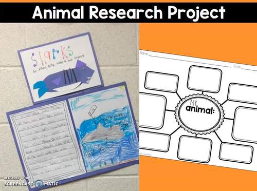 Animals Classification and Human Body First Grade Unit | TpT