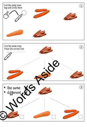 Brain Task Cards Preschool Autism SpEd Same Different by Words Aside