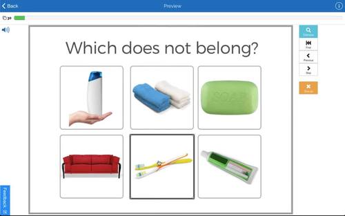 Which Does Not Belong? Real Pictures BOOM Cards Speech Therapy Digital ...