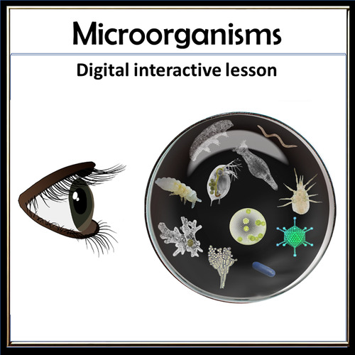 Microorganisms Interactive Science Video lesson and Digital Resource No ...