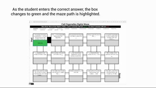 Cell Organelles Digital and Printable Maze Worksheet by JayZee | TpT