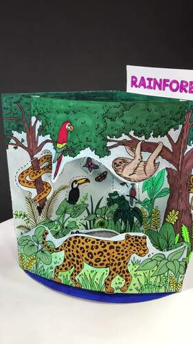 Rainforest Biome Model - 3D Model - Biome Project by Nitty Gritty Science