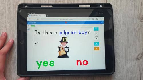 Thanksgiving BOOM CARDS™ for Speech Therapy | Yes No Questions by Angie S