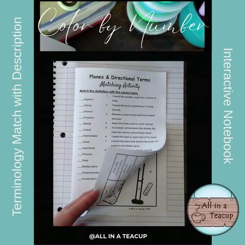 Anatomy Planes & Directional Terms Foldable Match & Color by Number ...