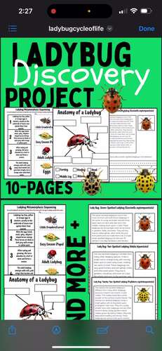 Ladybug Life Cycle & Metamorphosis Activities | Cut-and-Paste Sequencing