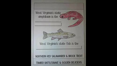 West Virginia's State Symbols Flipbook by Connecting with Social Studies