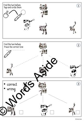 Brain Task Cards Station Preschool Autism SpEd Half by Words Aside