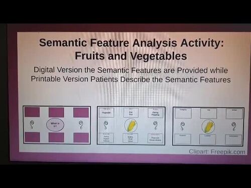 Semantic Feature Analysis Activity Identifying Fruits & Vegetables ...
