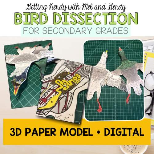 Bird Dissection Zoology | Biology 3-D Anatomy Paper Dissection Model ...