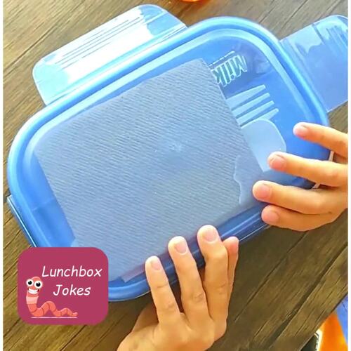 Lunchbox Jokes and Riddles Printable Lunchbox Notes For Kids | TPT