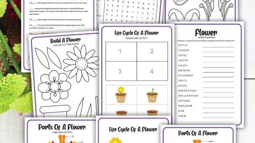 Parts of a Flower Printable Pack | Life Cycle, Labeling, Cut & Paste ...