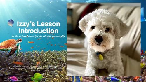 WATER SAFETY Rules Ready to Use w No Prep SEL LESSON 10 Videos + Activities