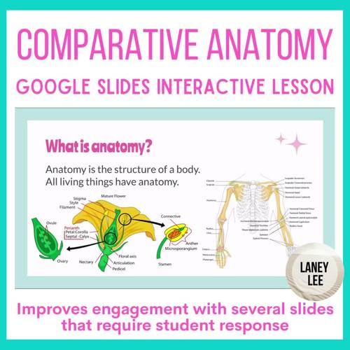 Comparative Anatomy Google Slides Presentation by Laney Lee | TPT