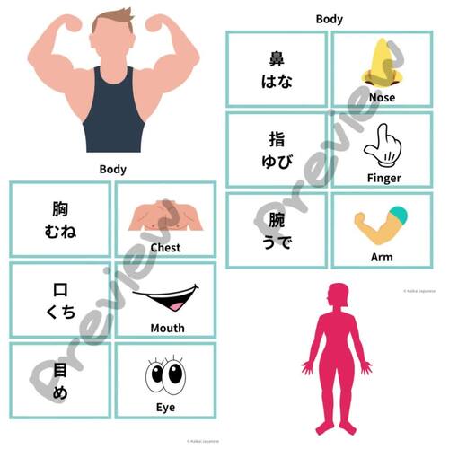 Japanese: Parts of the body Flash Card by Kaikai Japanese | TPT