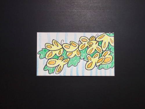 Let's Draw Animal Camouflage - Butterflies! by Patty Fernandez Artist