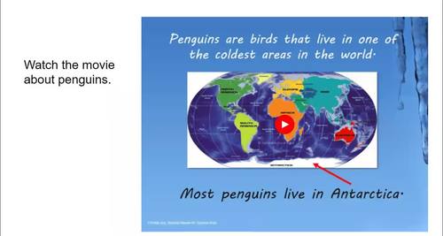 Science Penguin Unit for Special Education PRINT AND DIGITAL | TPT