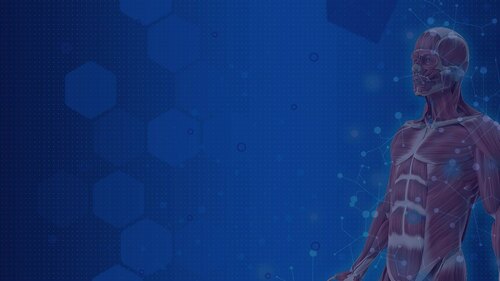 The Unfair Game® The Heart - 25 key facts to introduce heart parts and ...