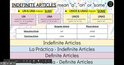 Editable Spanish Nouns and Articles Digital Flipbook | TPT