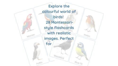 Birds Flashcards – 28 Realistic Picture Cards Educational Learning