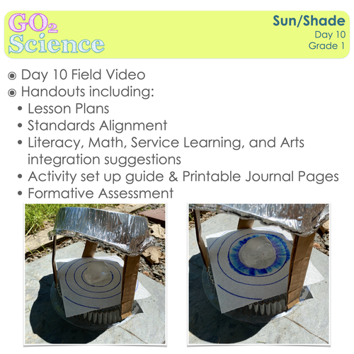 Mission Dinosaur Day 10 (Grade 1) by Go2Science | TPT