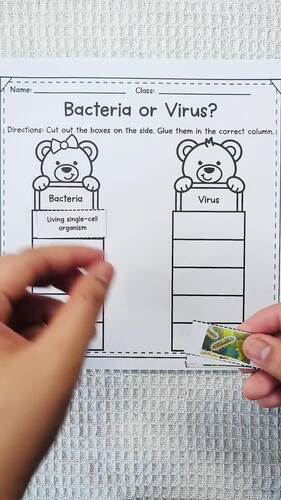 Bacteria or Virus? Cut and Paste Sorting Activity – Fun Science Learning