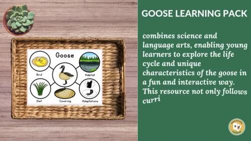 Goose Life Cycle Parts of a Goose Types: Facts Montessori 3 Part Cards