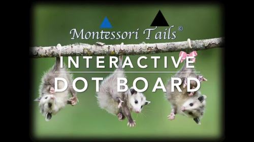Interactive Montessori Dot Board by Montessori Tails | TPT