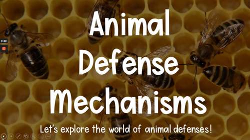 Animal Defenses | Informative Writing Prompt & Mentor Text by Rowdy ...