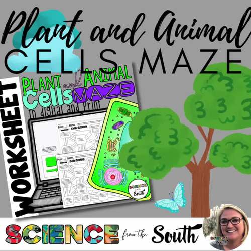 Plant and Animal Cell Organelles Structures and Functions Maze Worksheet