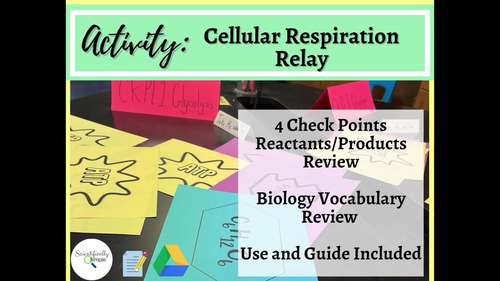Activity: Cellular Respiration Relay by Scientifically Simple | TPT