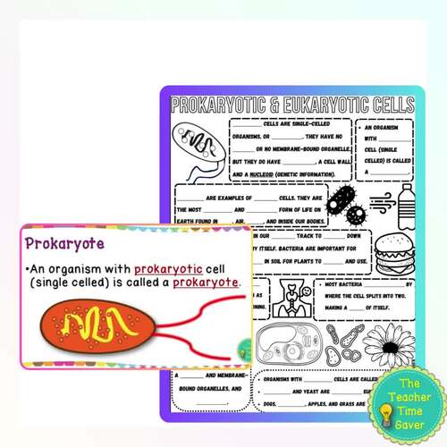 Prokaryotic and Eukaryotic Cells Notes Slides Coloring Activity Science ...