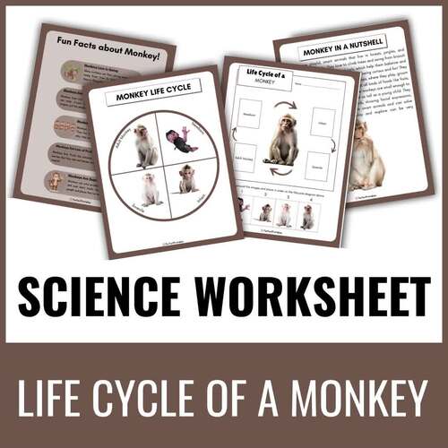Life Cycle of a Monkey Worksheet- Animal Science Unit Study With Fun Facts!