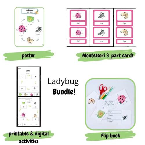 Ladybug Life Cycle Bundle! 4 RESOURCES [SAVE 30%] by Greenworld Learning