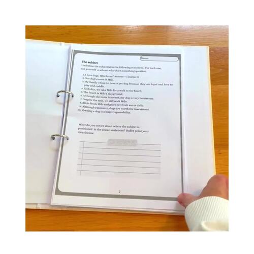 Grammar and Sentence Structure WORKBOOK/ WORKSHEETS for grades 7, 8, 9, 10