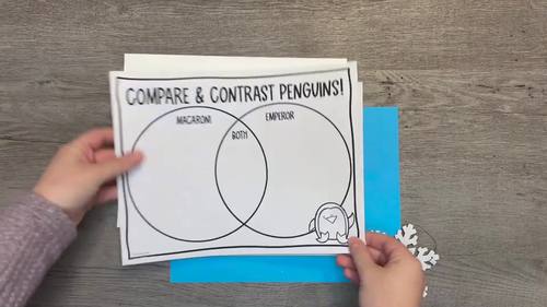 Winter Compare and Contrast Non Fiction Penguins Writing ESL by ...