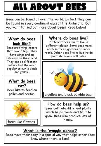 Bees Non-Chronological Report Differentiated Printable Activity | TPT