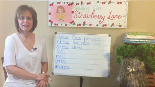 VIDEO: Reading: Set 1. Lesson 28. Word Family Pattern -ess | TPT