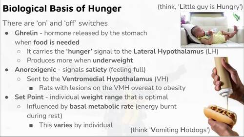 AP Psychology - Lecture Notes - Types of Motivation (Unit 4) | TPT