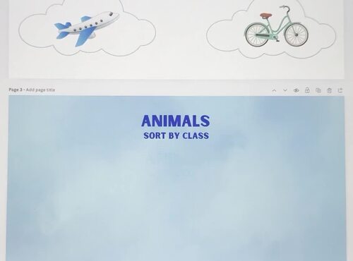 Sort by function, Class and features by Xiomy Damis | TPT