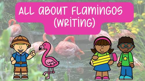 All About Flamingos Writing Nonfiction Flamingos Unit PreK Kindergarten ...
