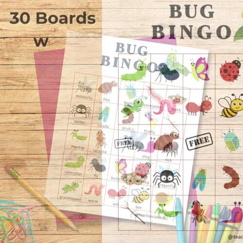 Bug and Insect Bingo | Spring Season Activity Game for Class Party or Home